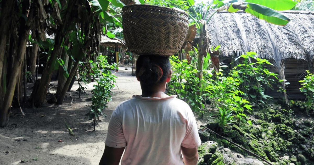 Wellbeing as security for Pacific women, everyone — Pacific Security ...
